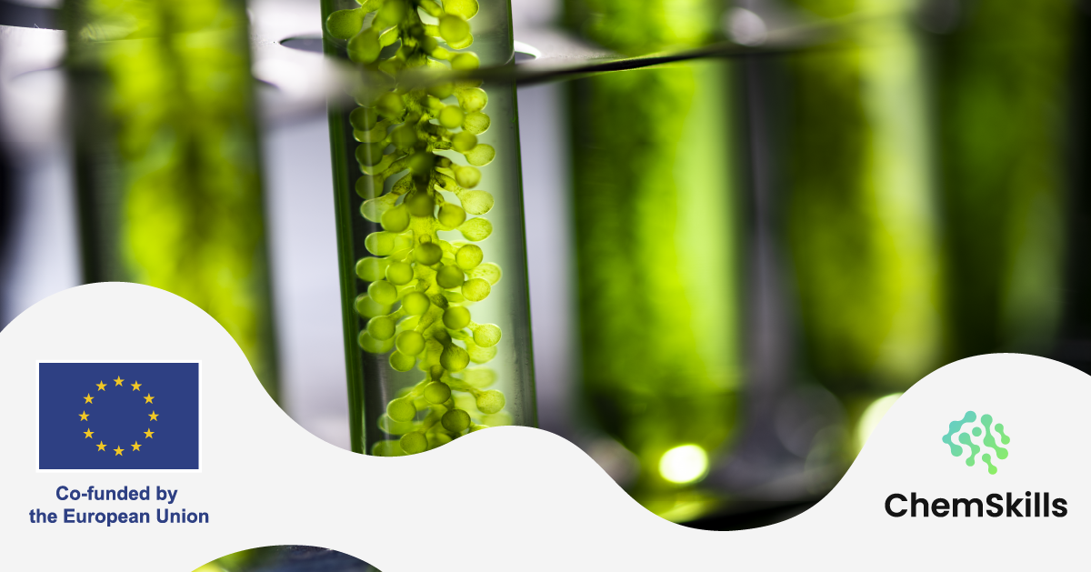 ChemSkills Project